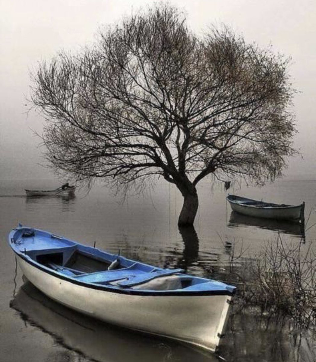 218 best Twitter Rima_talal images on Pholder | اللهم إنك تراه ولا أراه ...