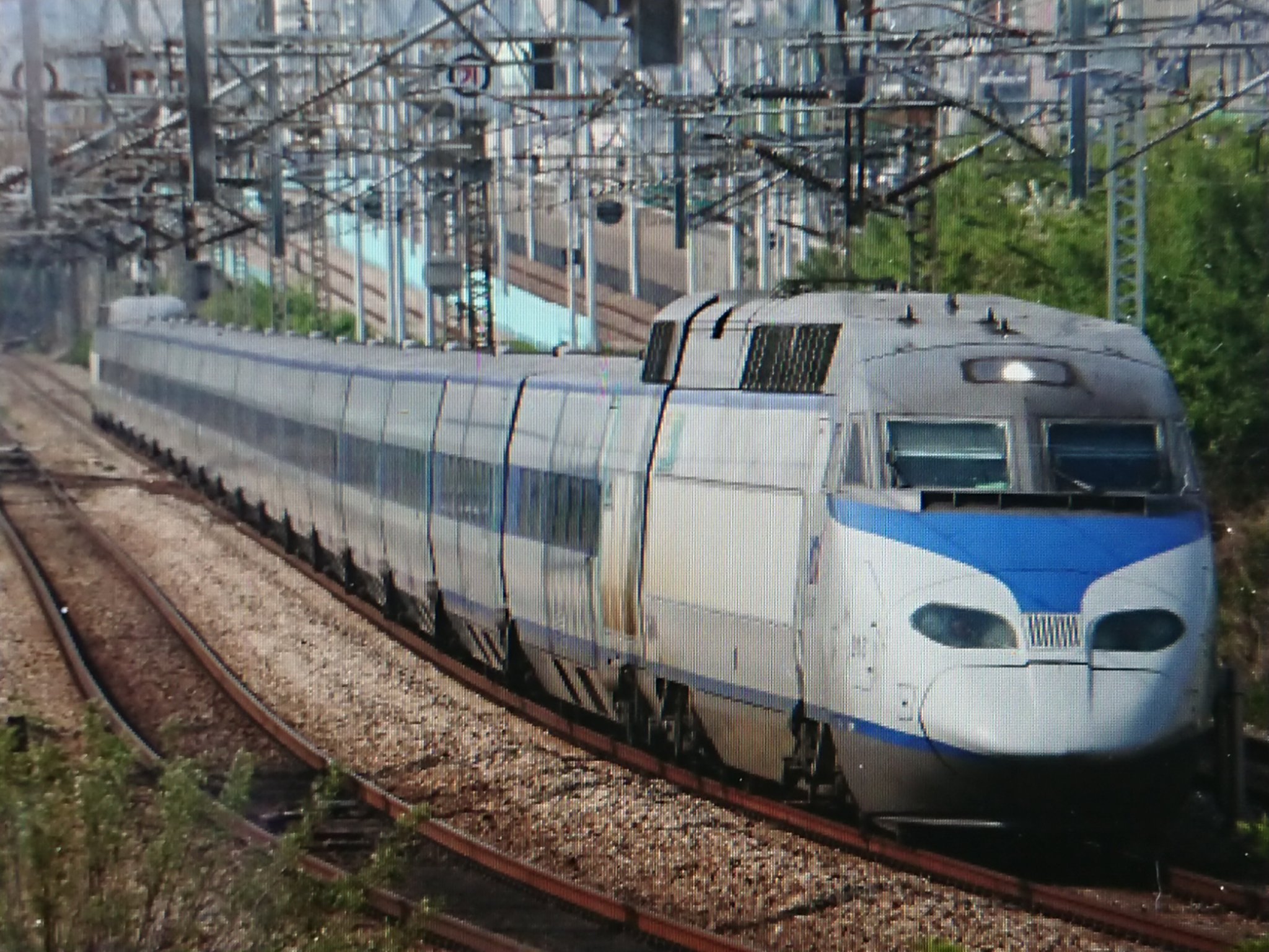 あんぱん（六四無罪） on Twitter: "同じ線路上を電気機関車牽引の客車急行、ディーゼル機関車牽引の客車急行、TGV、KTX山川が走るというムチャクチャさ https://t.co ...