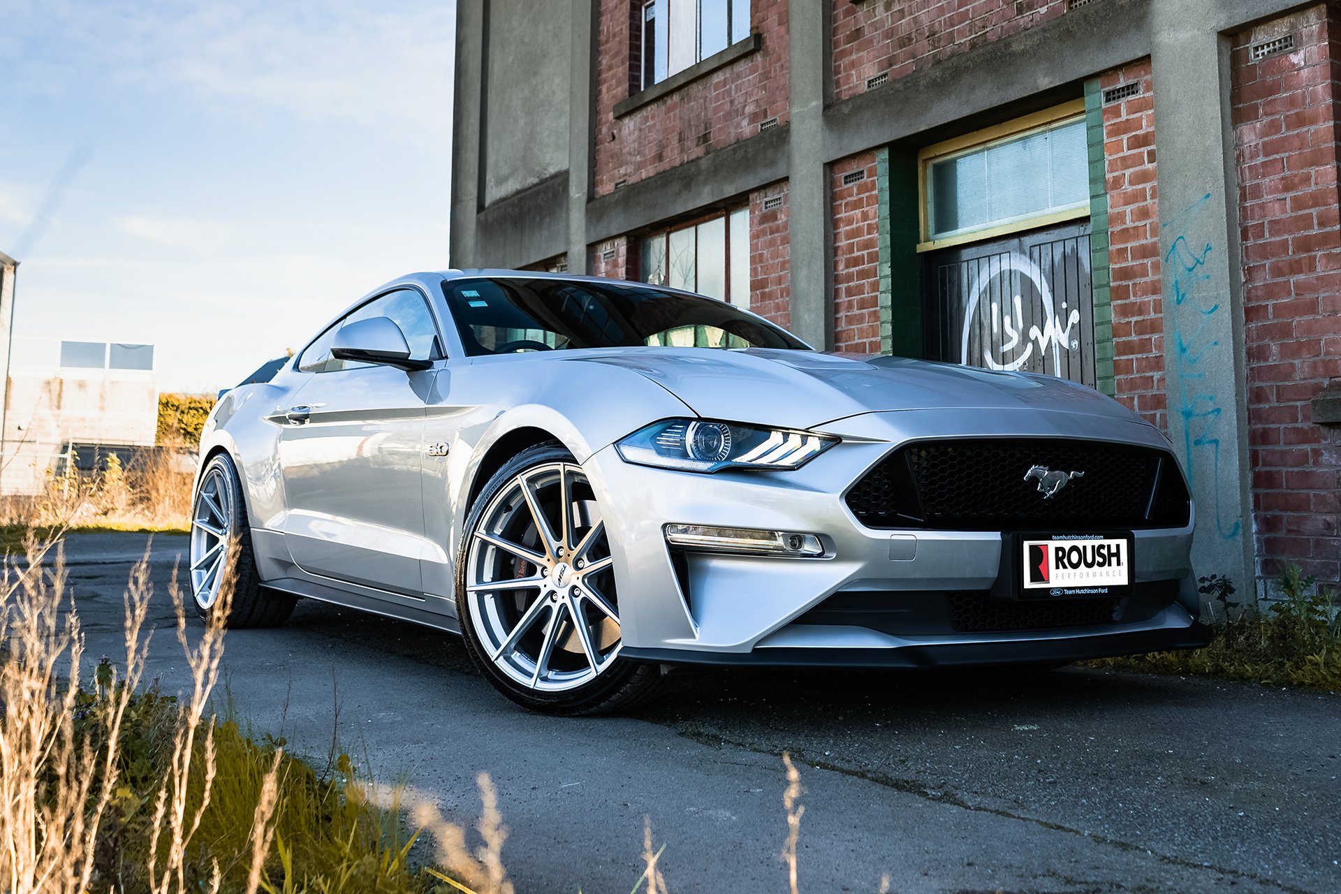 Matte Silver Mustang