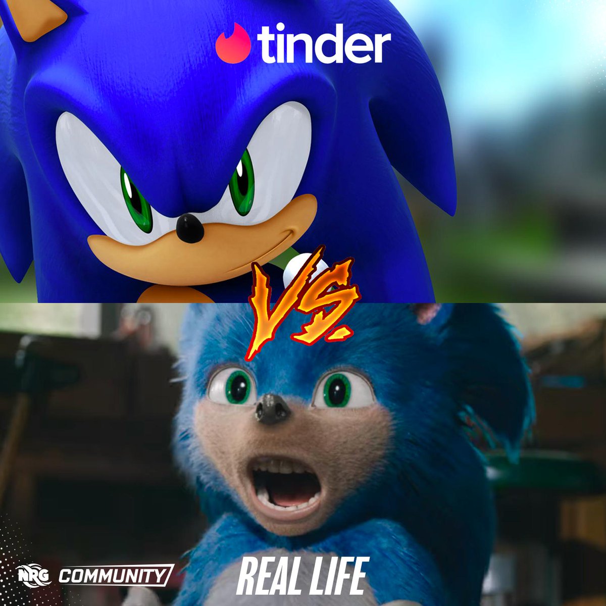 Sonic In Real Life Hedgehog