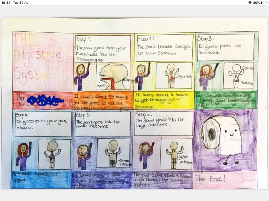 Mechanical Digestion Comic Strip at Sheila Sparks blog