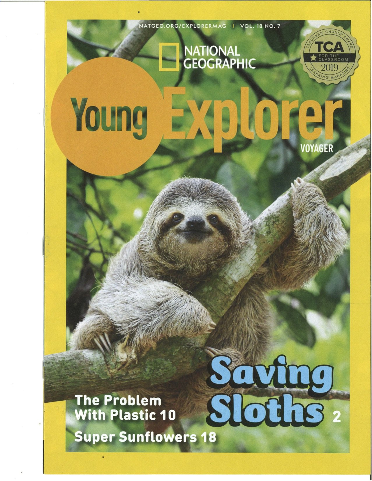 National Geographic Sloth Animals Up Close With Bertie Gregory | On