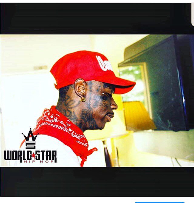 Halla Back (@hallabackcom) | Twitter