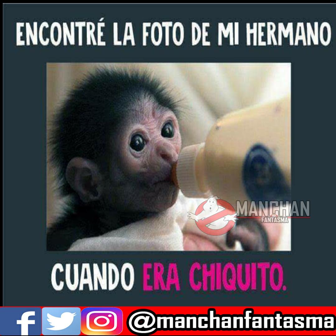 Mi Hermano Feo Memes 18 Memes Que Solo Entenderás Si Tienes Un