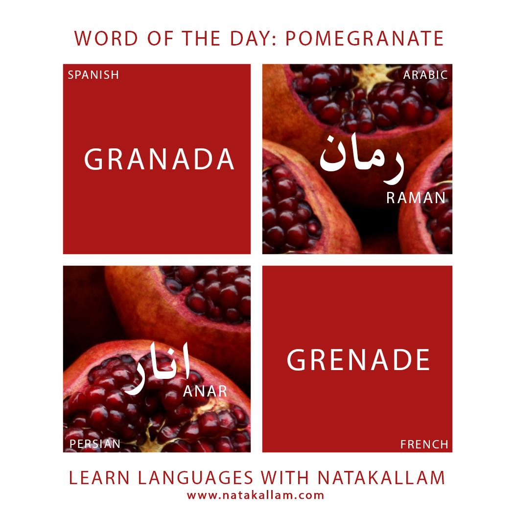 Granadas In English