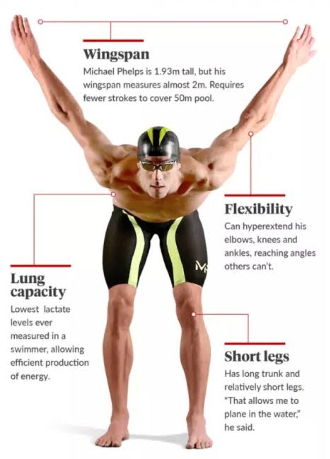 Michael Phelps Torso