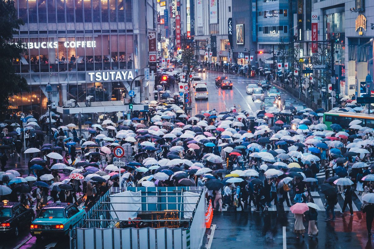 霧黒 (@mukuro_009) | Twitter