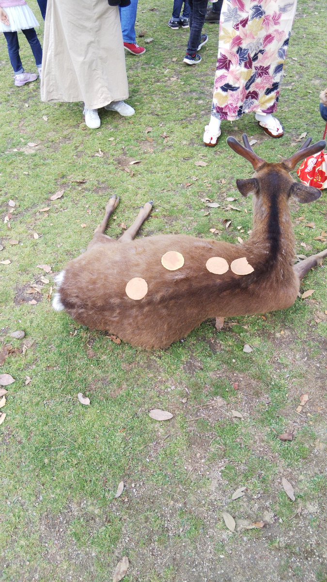 Gw真っ只中で奈良公園の鹿が鹿せんべいに飽きてしまう Togetter トゥギャッター