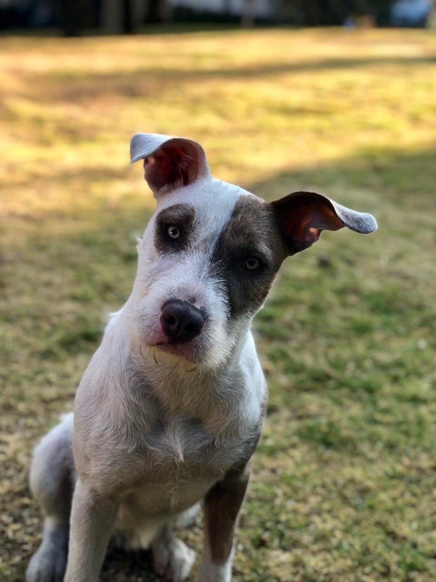 32 best Twitter @tapiafernanda images on Pholder | Quien le entra?