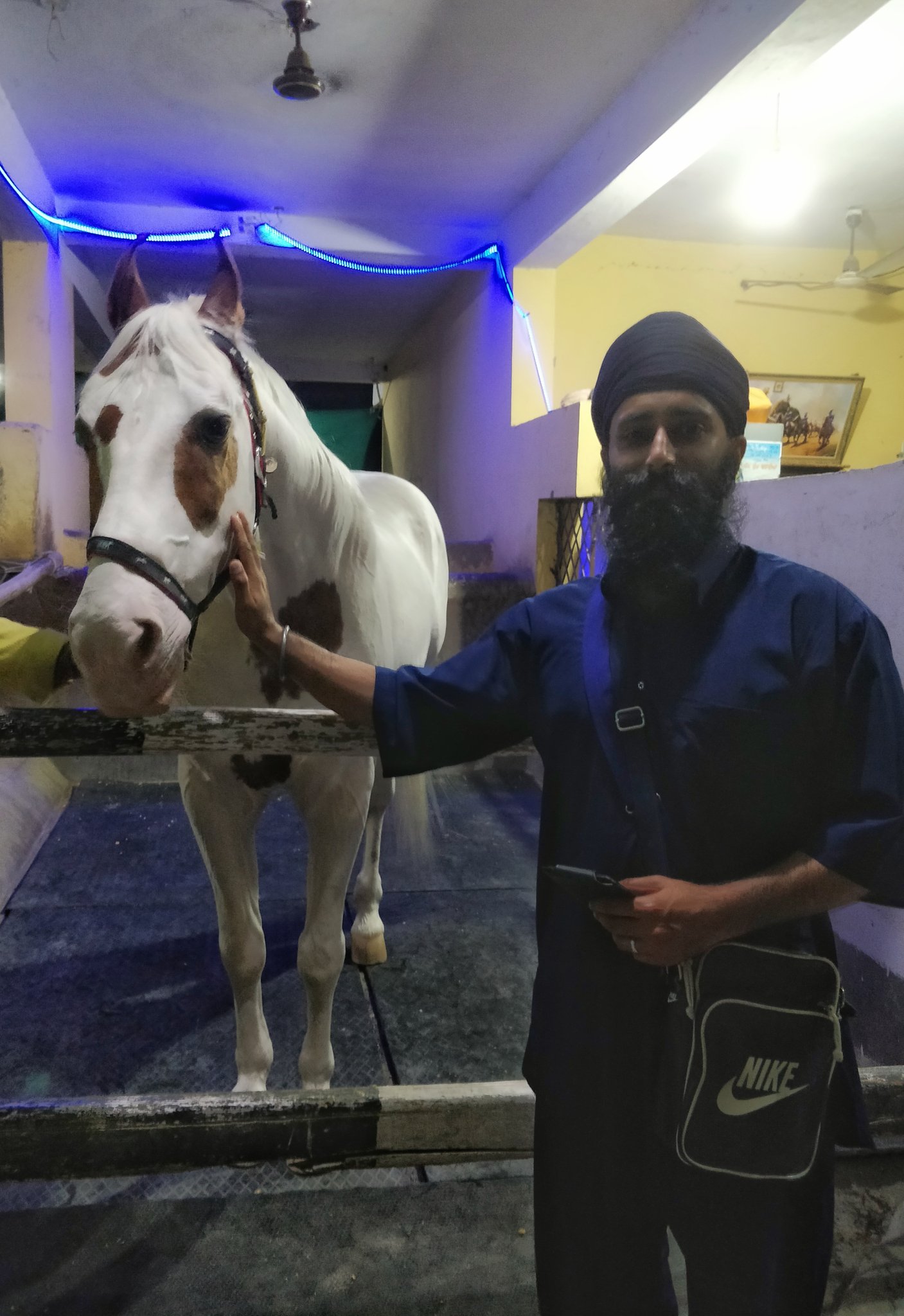 Guru Gobind Singh Ji Horse Guru Gobind Singh Wall Art Paintings