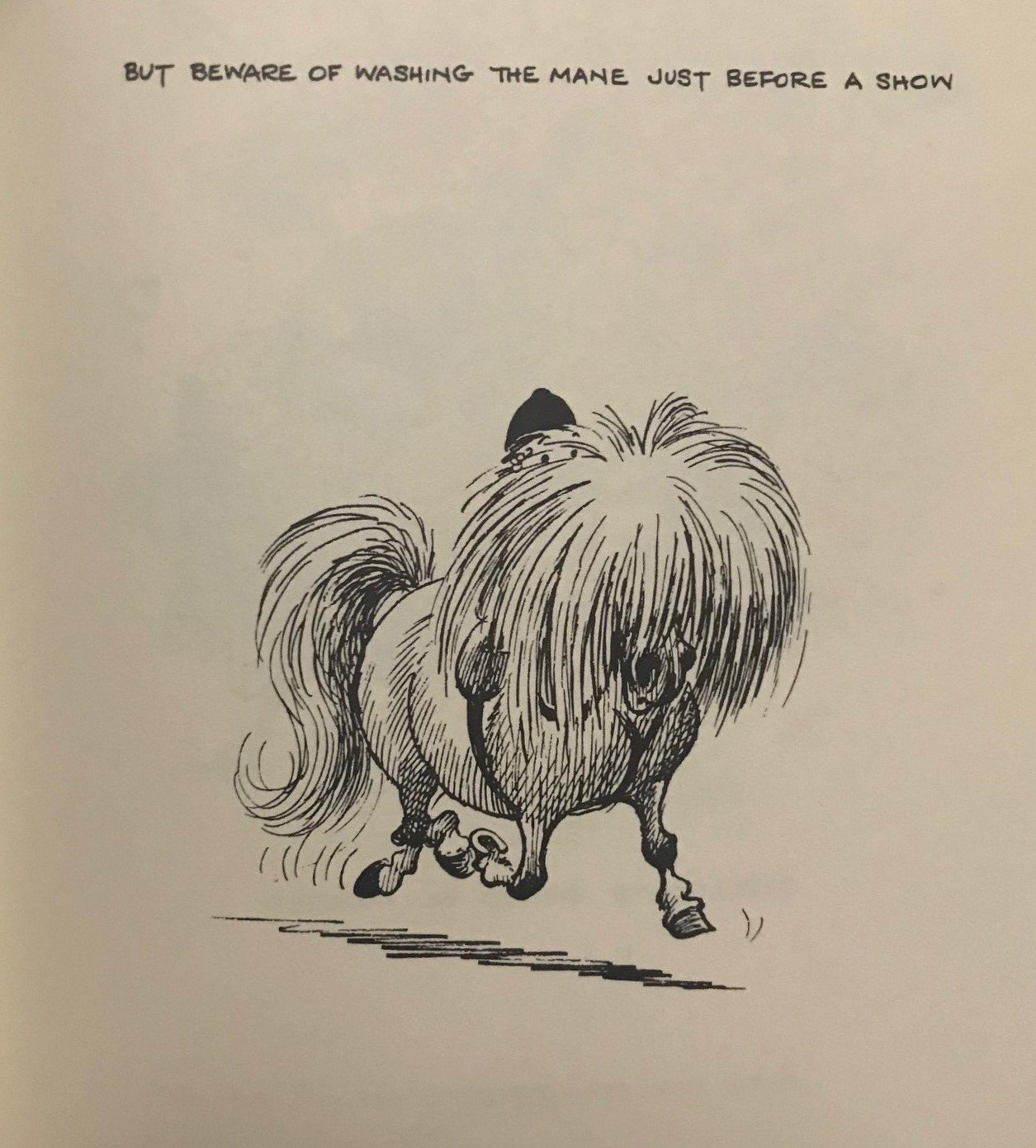 Thelwell Pony Cartoon