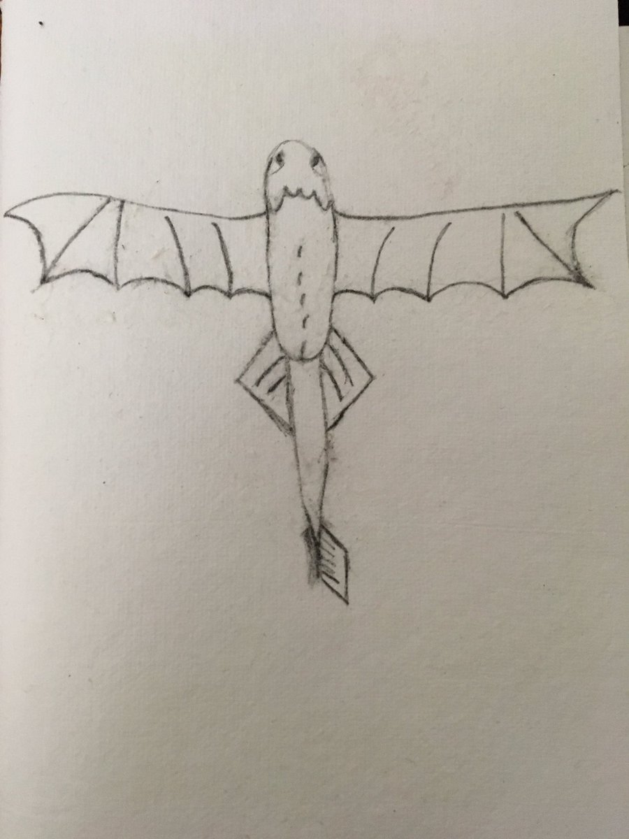 Hiccups Night Fury Drawing