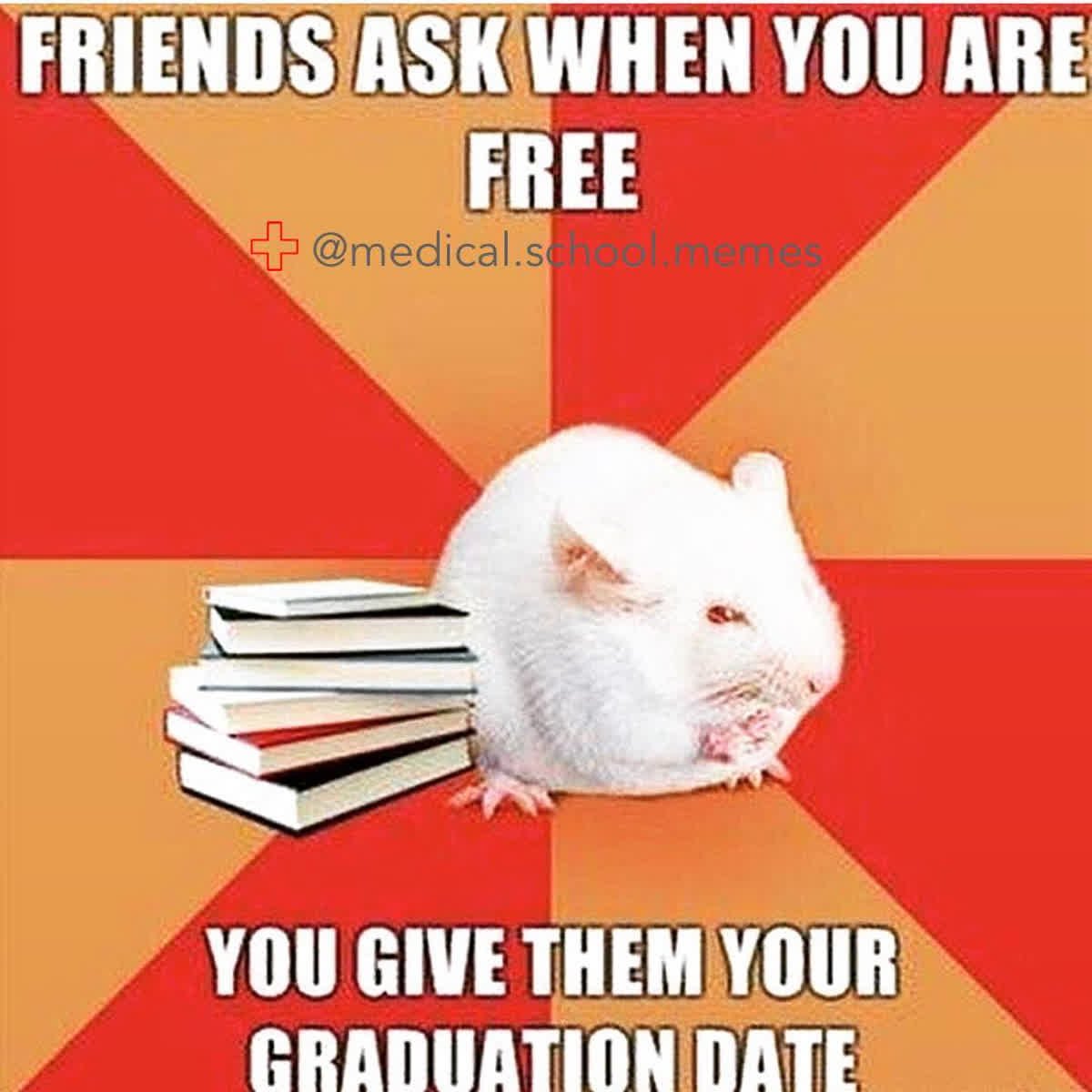 Med School Memes