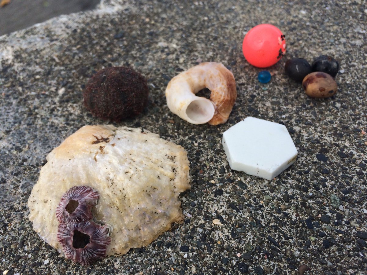 さいとう貝(@shellworks) - Twilog (ツイログ)