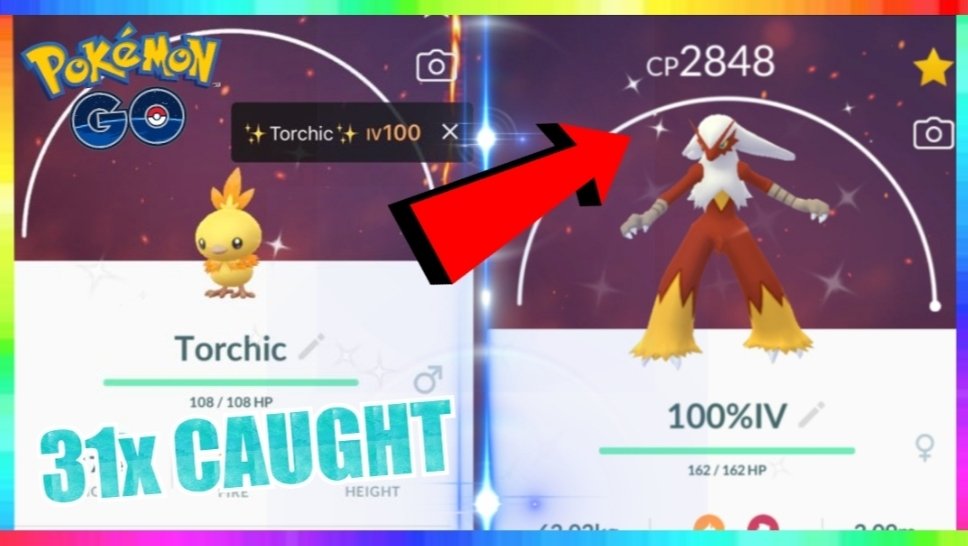 Shiny Torchic Pokemon X