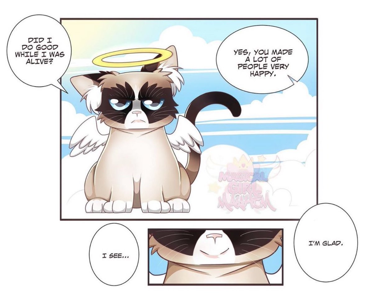 Grumpy Cat Happy Yes