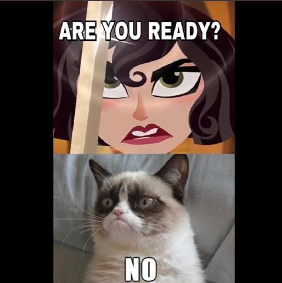 Grumpy Cat Disney Frozen