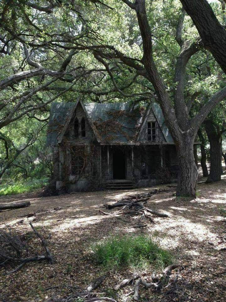 Victorian Style House In Forest