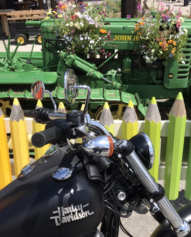 Nori_Shimizu (@Nori_Street_BOB) | Twitter