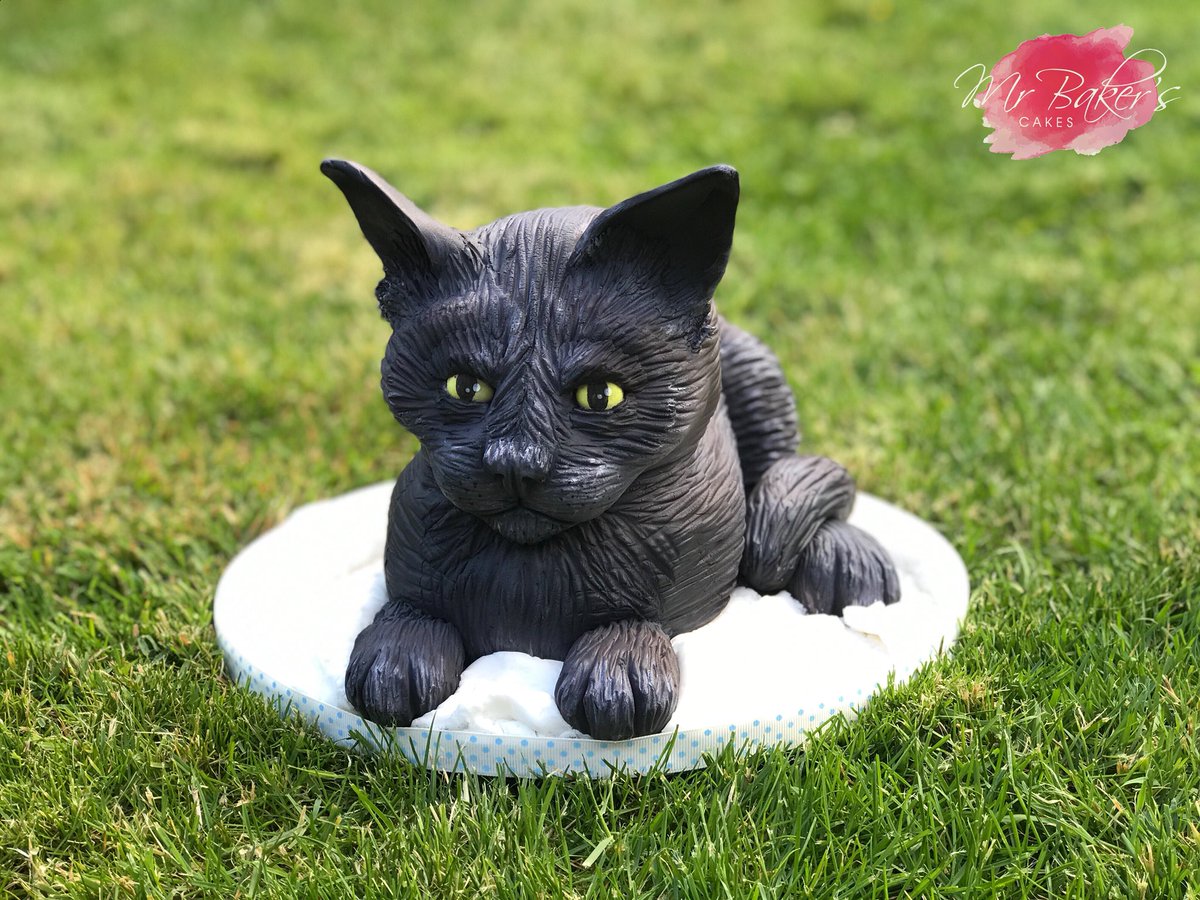 Realistic Cat Cake