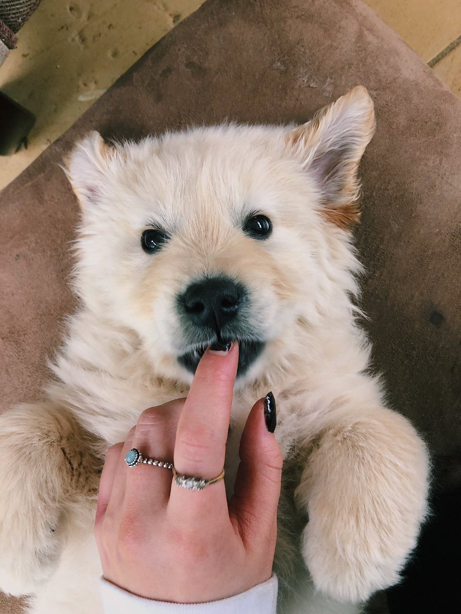 casey devlin (@caseydevlin4) | Twitter