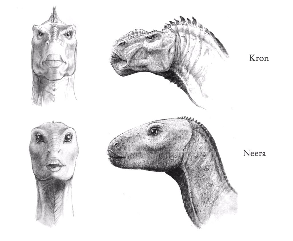 Dinosaur Neera Drawings