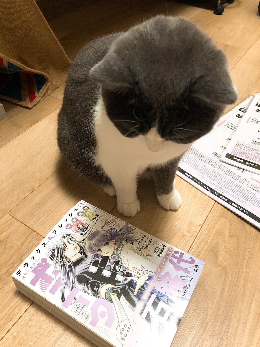 「5/12 COMITIA新刊 「私の本」 古書店を営むレノは、ある本好きの老人が亡くなったことをきっかけに彼の蔵書を大量」びっけの漫画