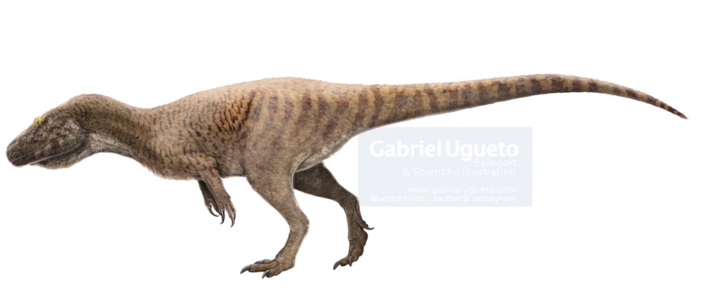 14장. 메갈로사우루스상과: 거대한 도마뱀 : 네이버 블로그