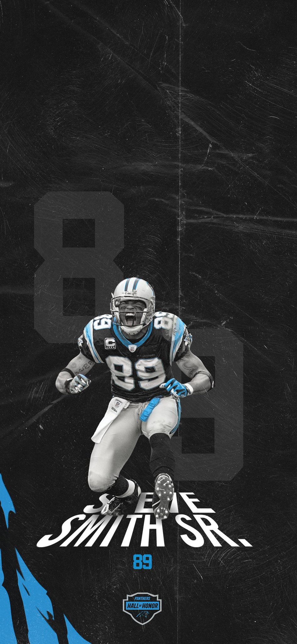 Carolina Panthers Steve Smith Wallpaper