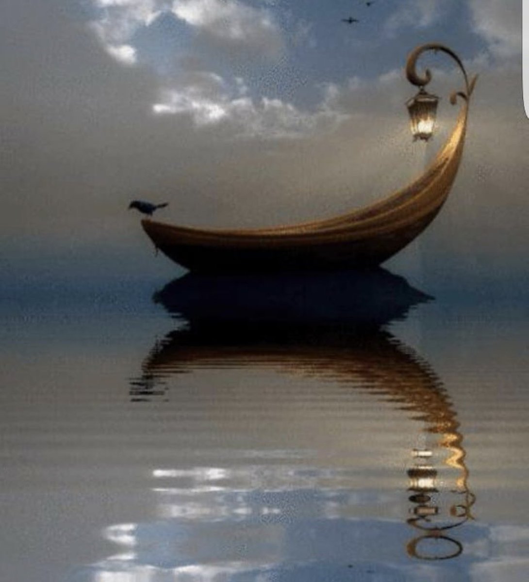 218 best Twitter @rima_talal images on Pholder | الظاهر يتناقشوا على ...