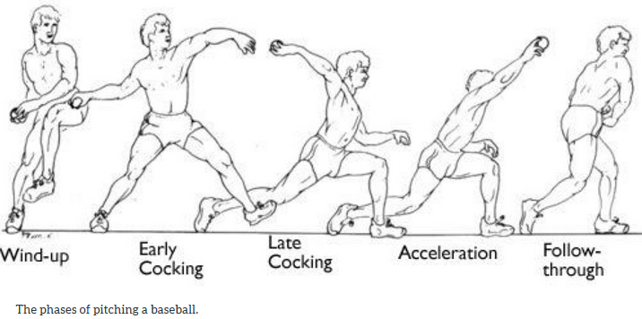 Phases Throwing Baseball