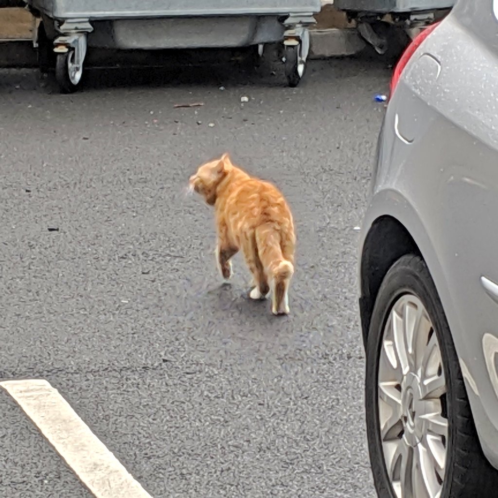 The Angry Historian (evan_welch) - Tweets on iEmoji.com