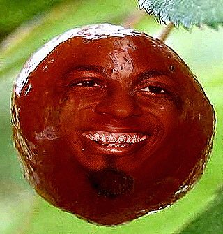 Crab Apple Face