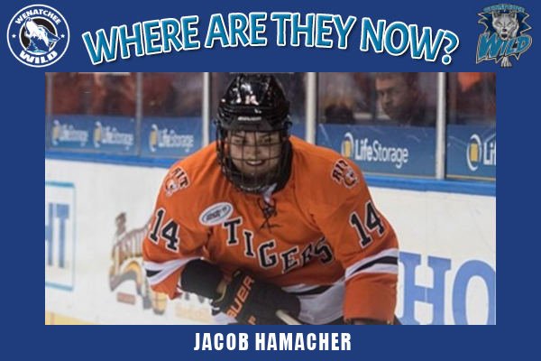 Wenatchee Wild on Twitter: ""Where Are They Now?" is back again today as we look in on Jacob ...