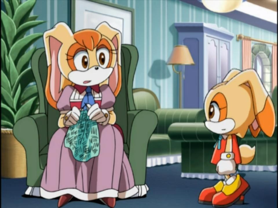 Vanilla The Rabbit Pregnant