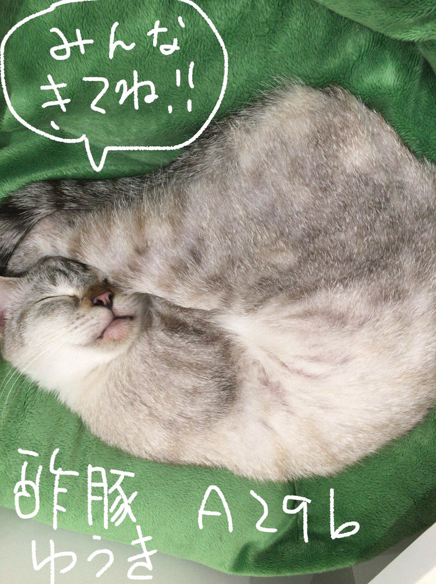 酢豚ゆうき『月出づる街の人々③』7月25日発売！の漫画