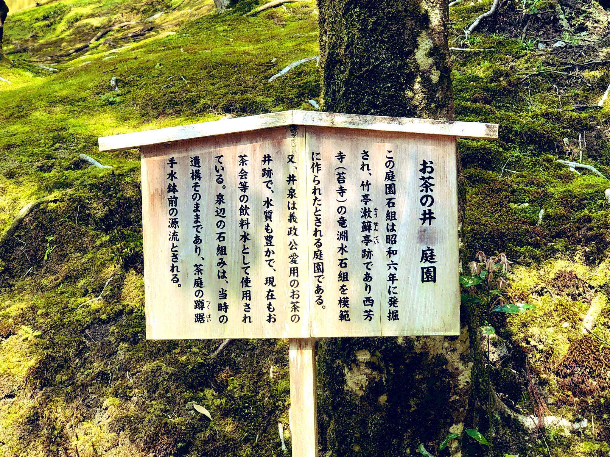 日本庭園メディア『おにわさん』中の人 On Twitter ⛳️銀閣寺庭園⑥。 高台へ登ると、かつて足利義政公の茶席のあった漱蘚亭跡と