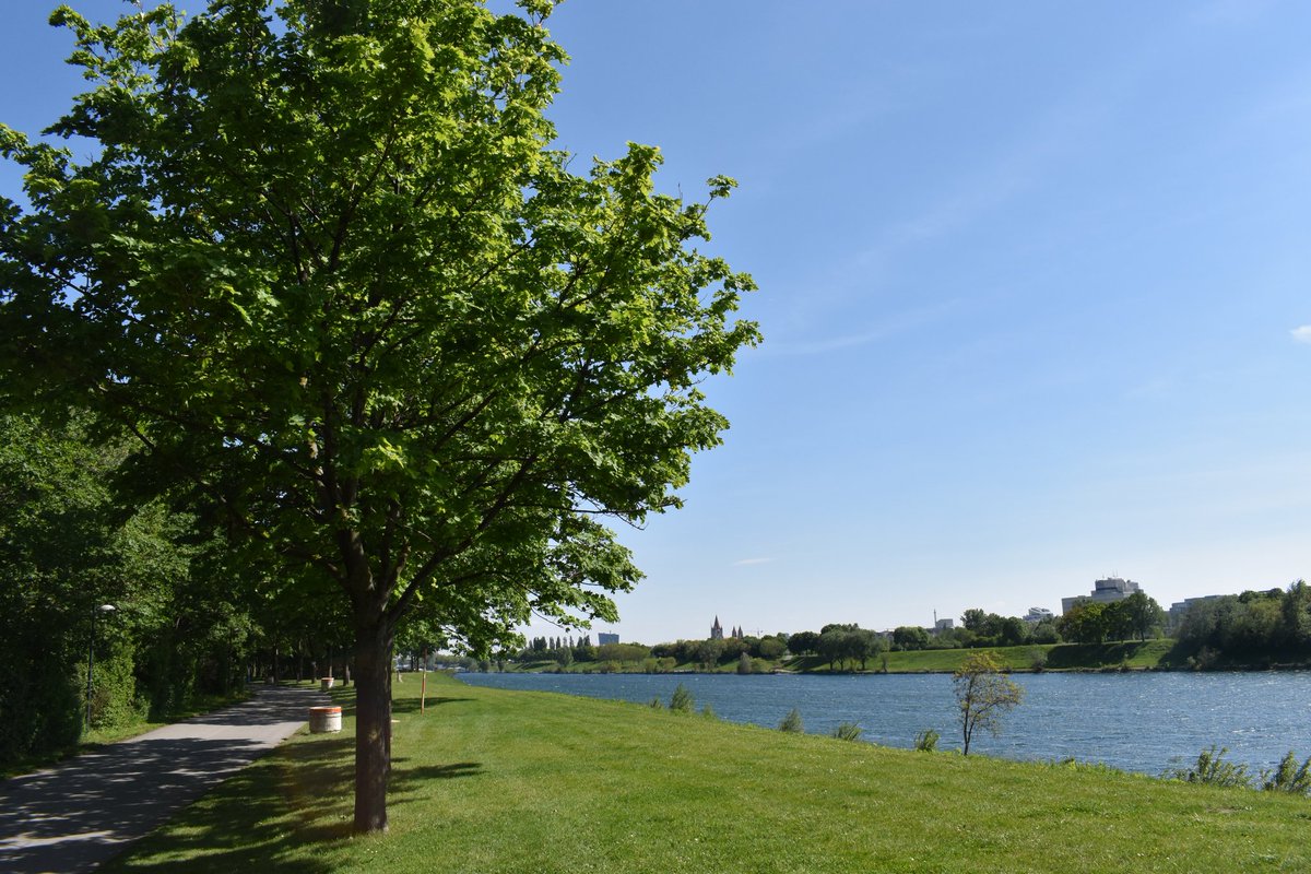 Sujan Balami (Official) (@BalamiSujan) | Twitter