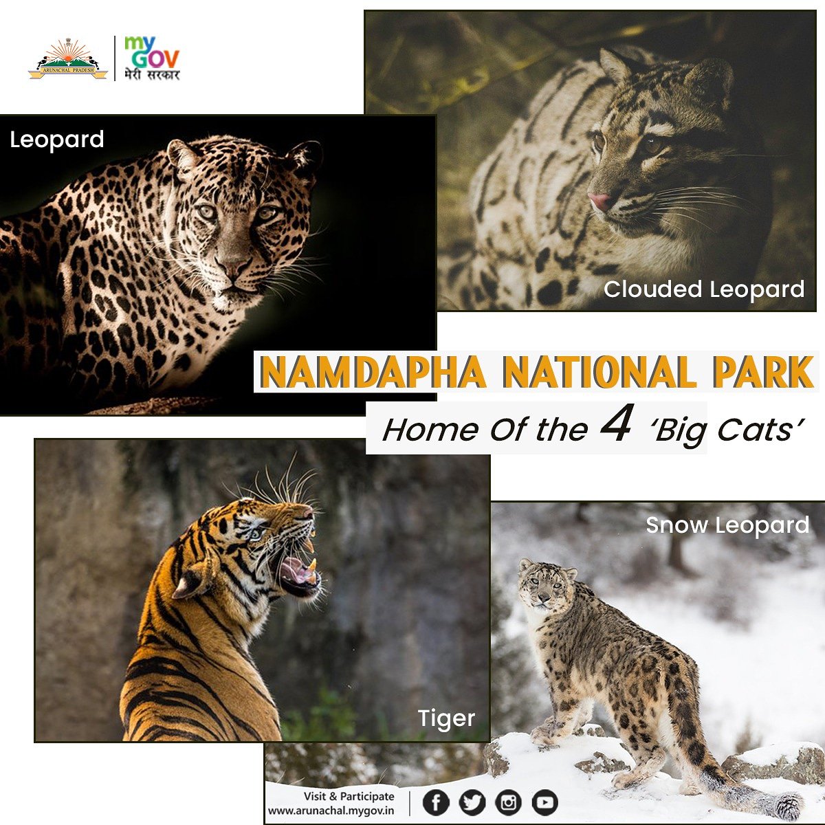 The Four Big Cats | atelier-yuwa.ciao.jp