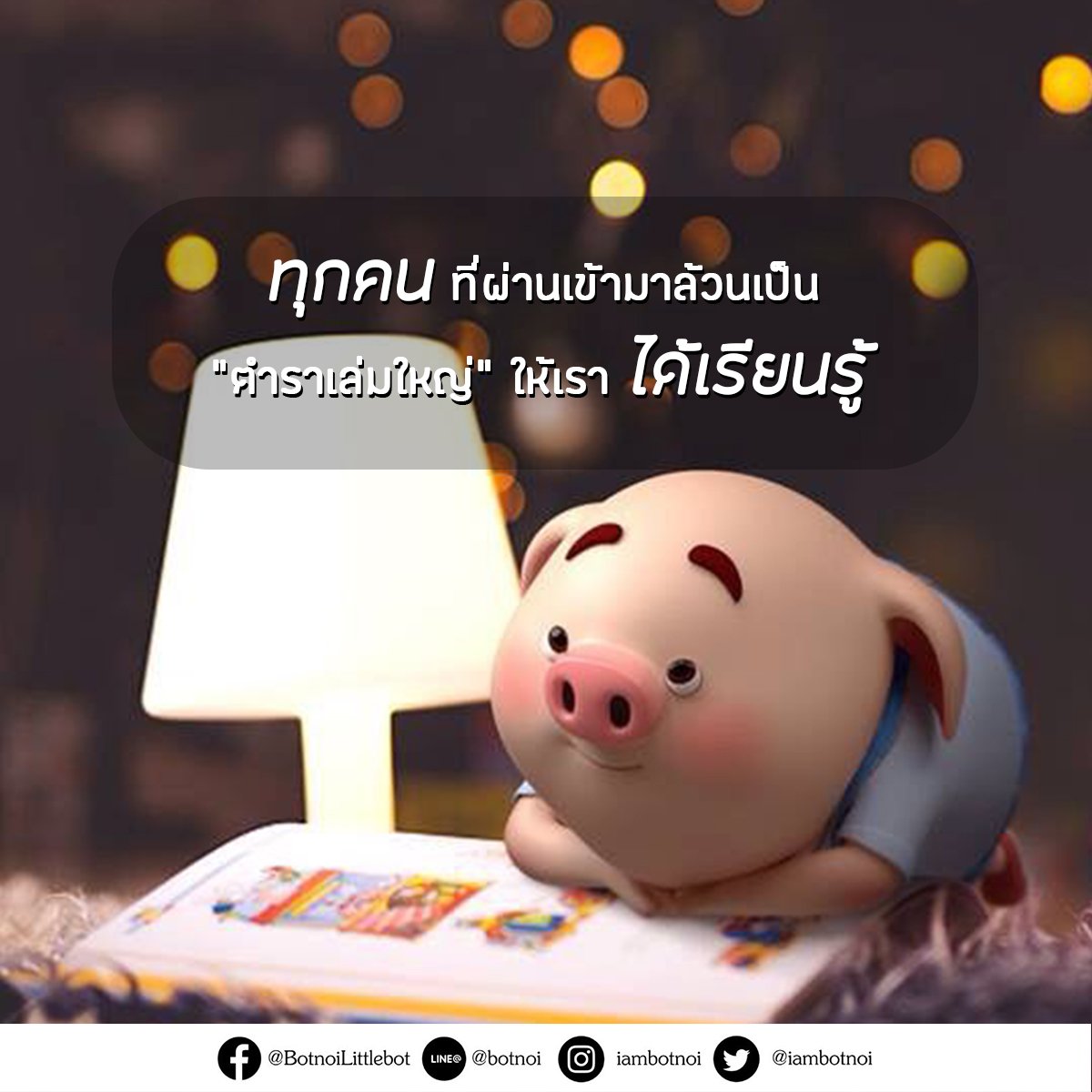 Botnoi On Twitter ทุกคนที่ผ่านเข้ามาล้วนเป็น ตำราเล่มใหญ่ ให้เราได้