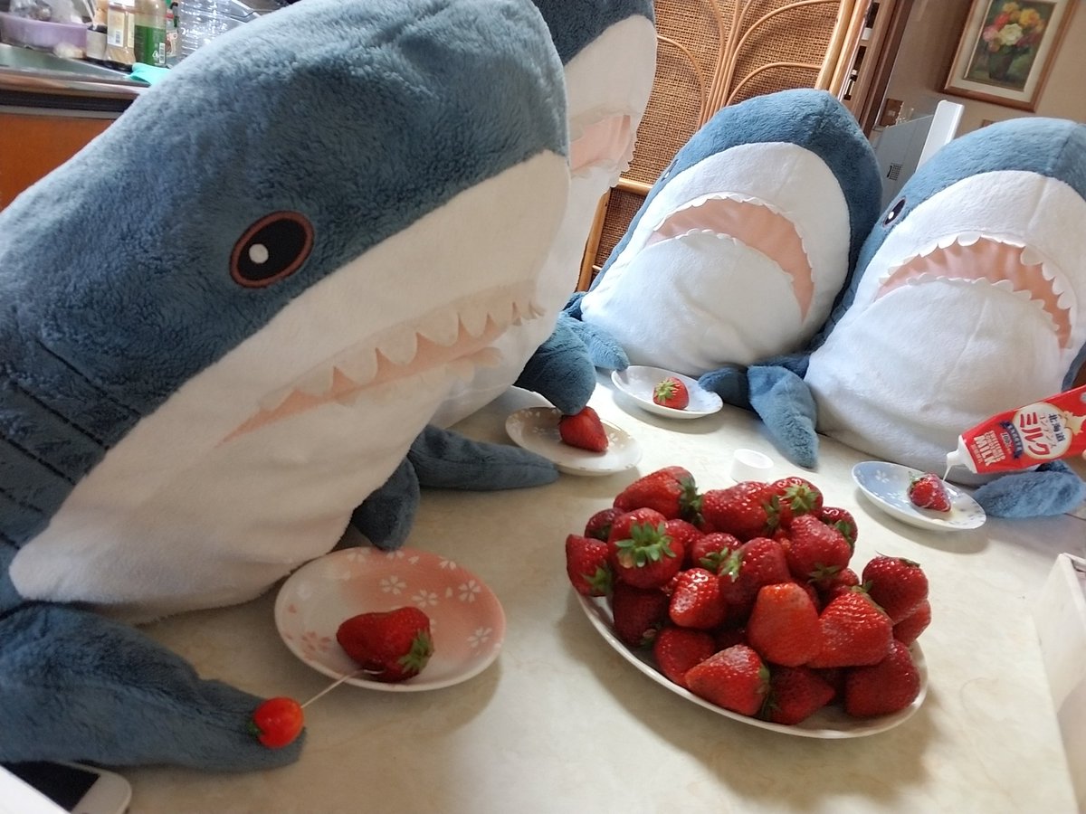 【时尚单品】新上架！「IKEA爆红款」再添一成员【BLÅHAJ 小鲨鱼】！表情厌世又得可爱~