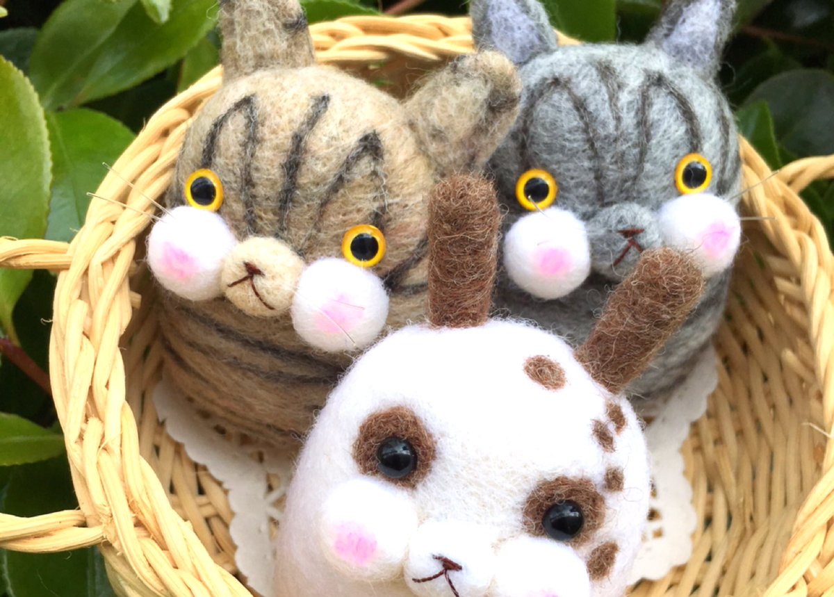 Twoucan - CANDY☆FLOWER kaechi (@CandyKaechi)