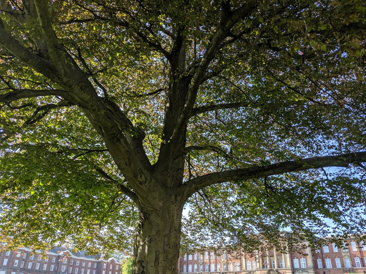 Leeds Beckett University Headingley Campus Library - emsekflol.com