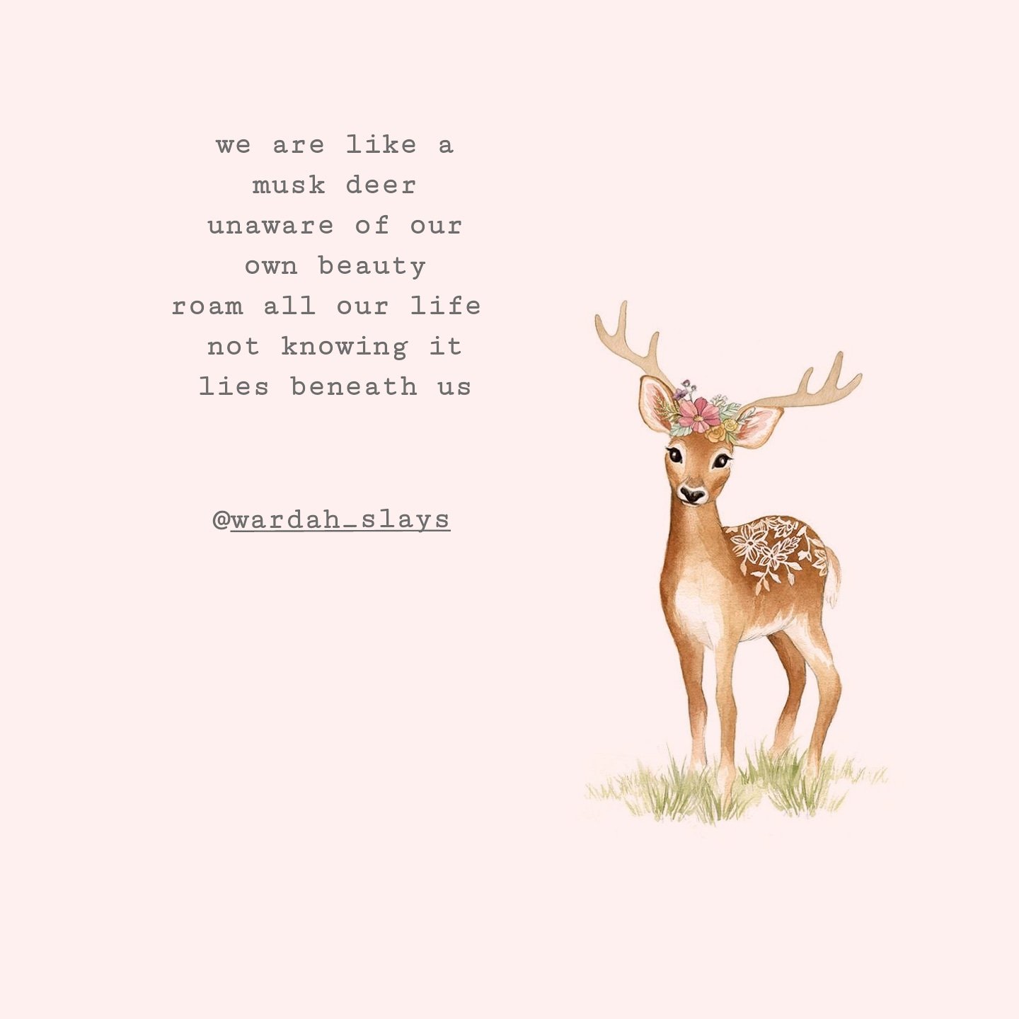 Musk Deer Quotes