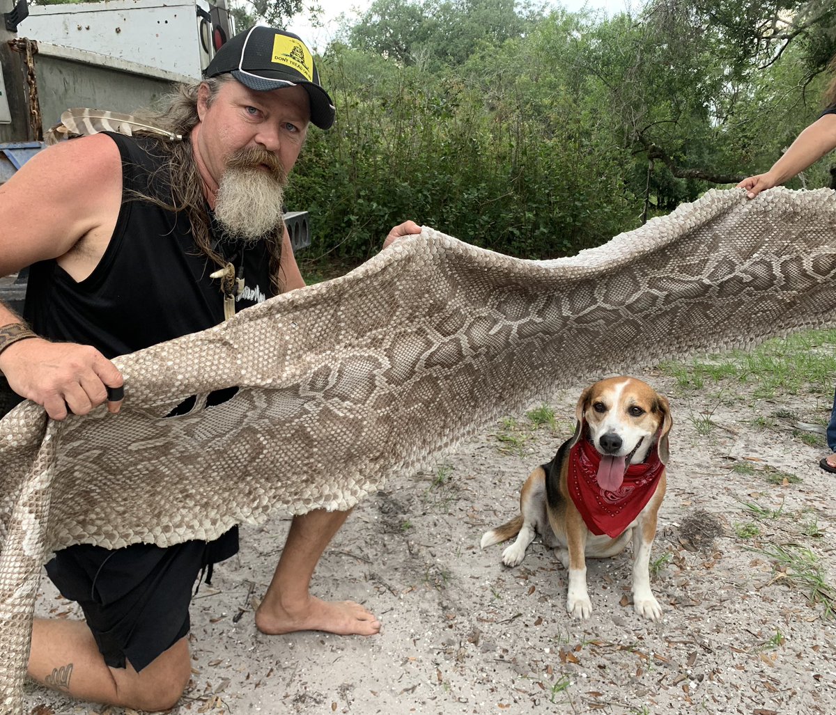 Dusty Crum: He’s been hunting pythons for years. Now Dusty Crum the ...