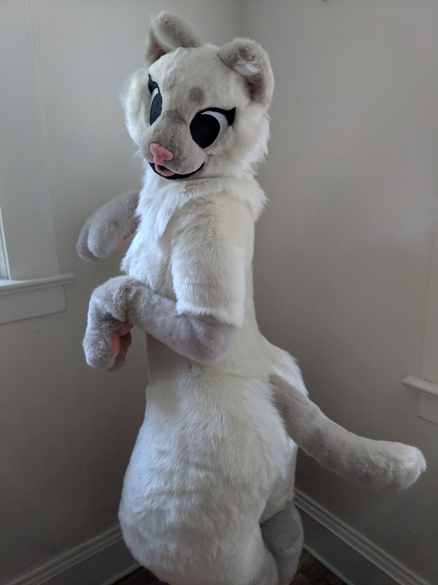 Top 10 cat fursuit ideas and inspiration