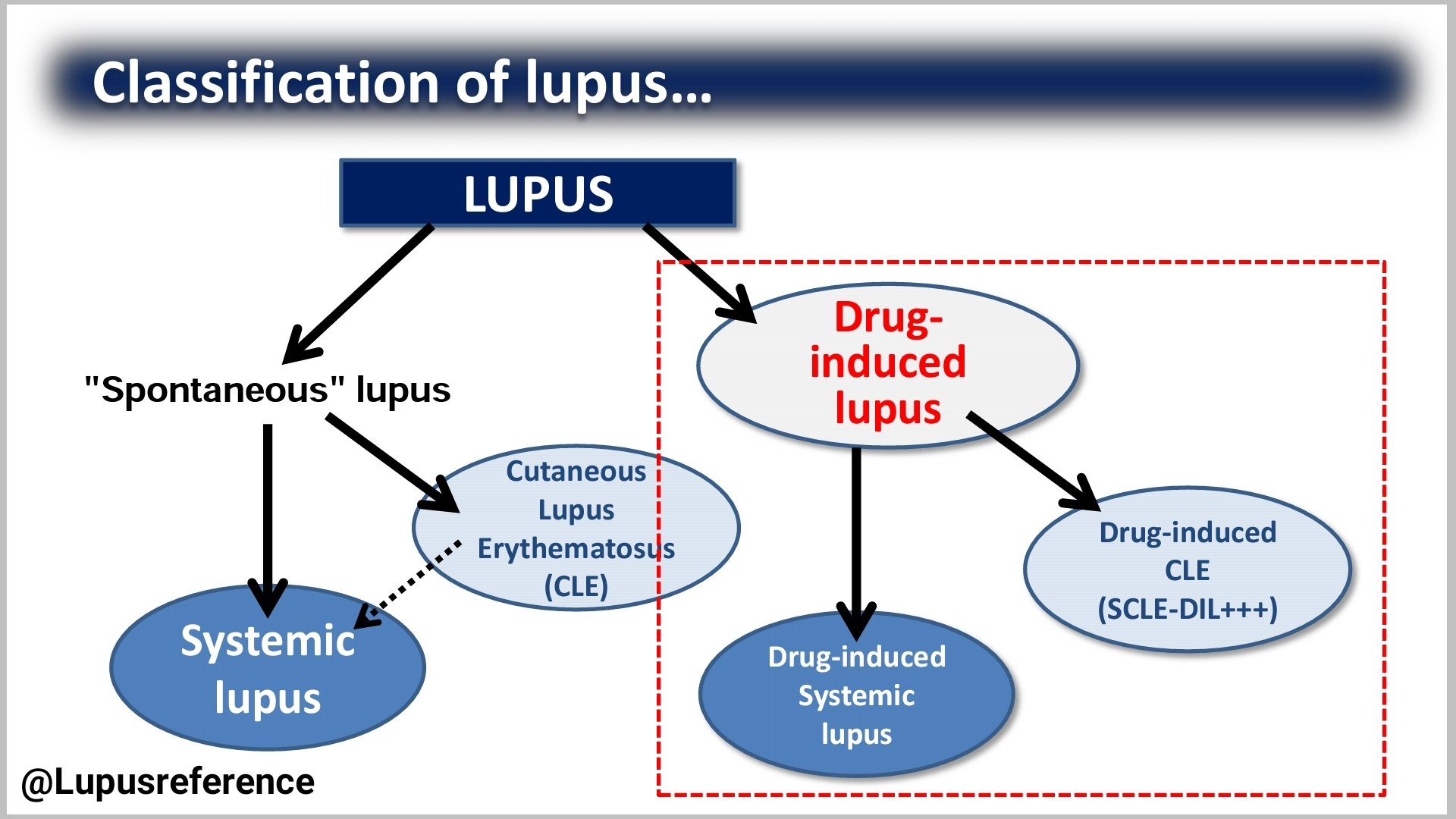 Drug Induced Lupus Systemic Lupus Erythematosus (SLE) (aka Lupus)