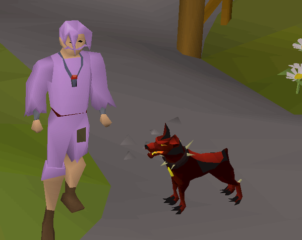 Where Is The Stray Dog In Varrock