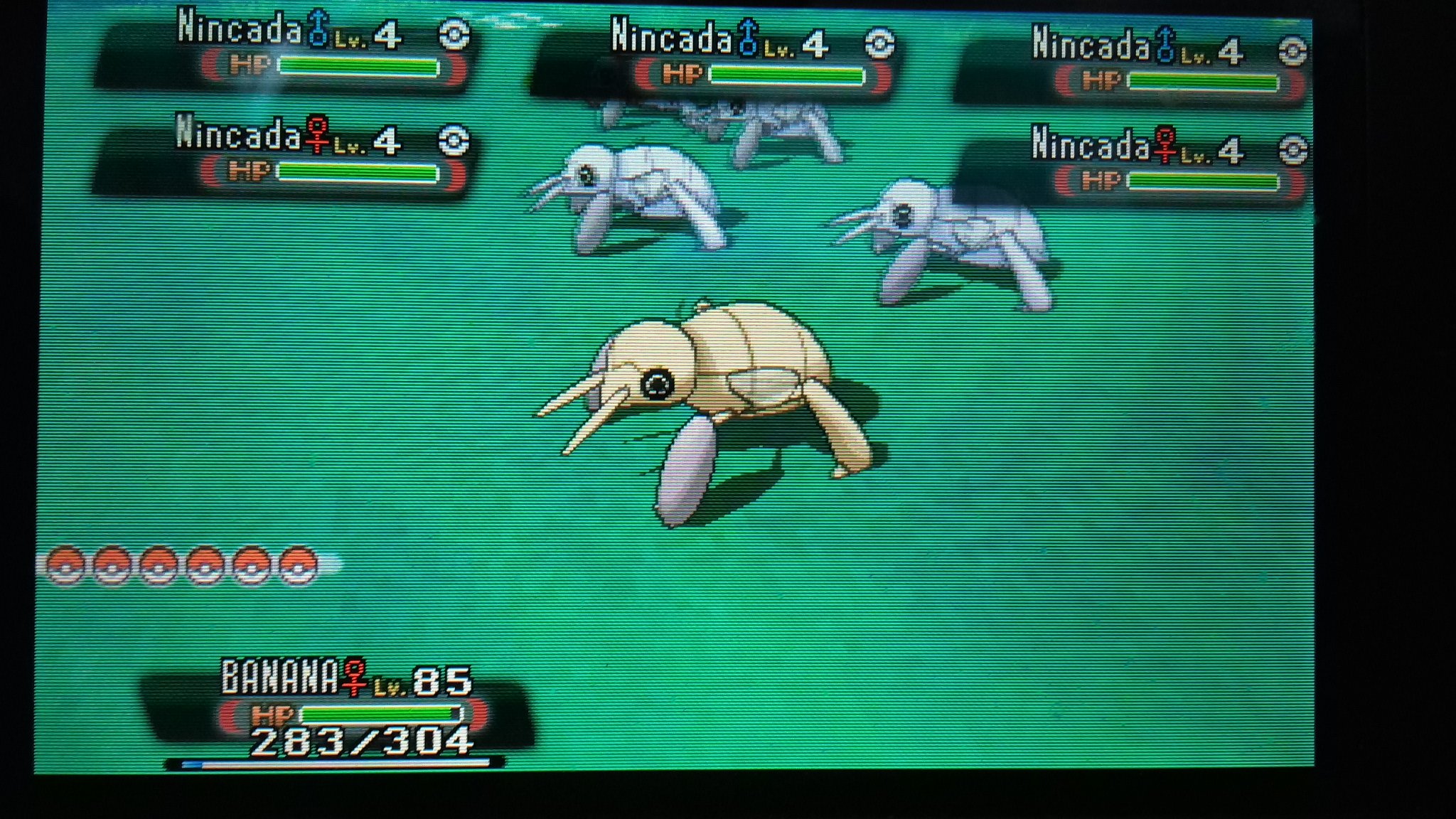 Shiny Nincada Emerald