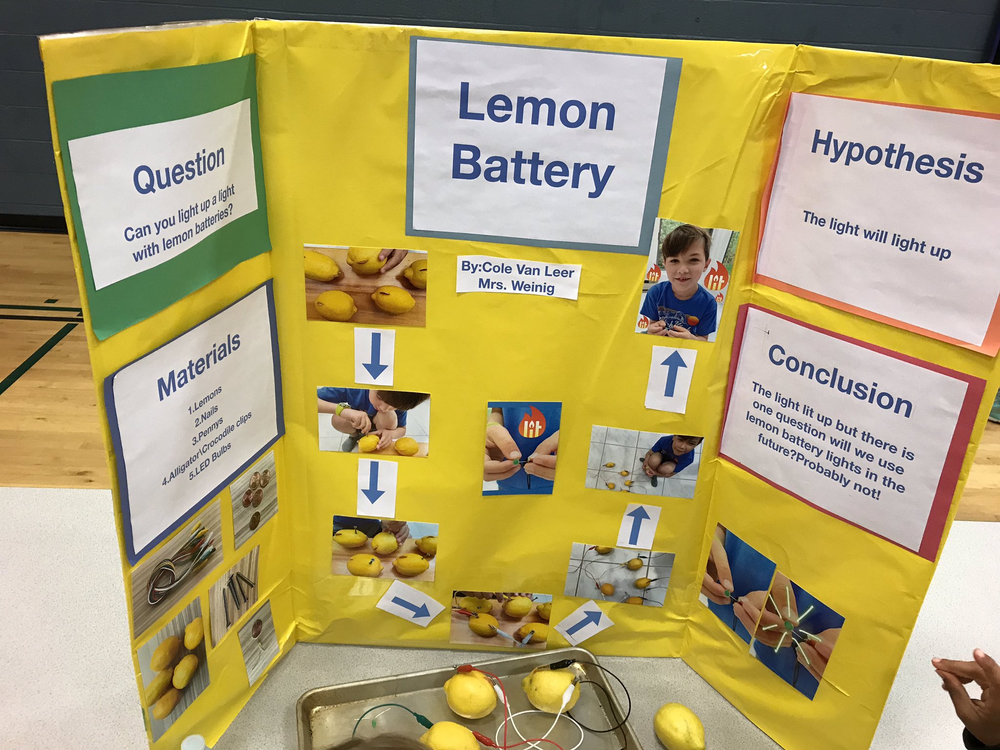 Lemon Battery Science Board